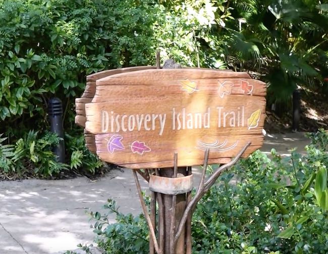Discovery Island Trails (Animal Kingdom, Discovery Island) | WDW Kingdom