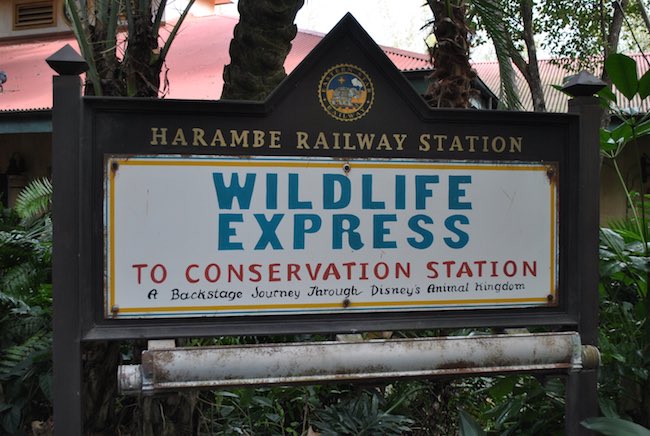 Wildlife Express Train (Animal Kingdom, Africa & Rafiki's Planet Watch ...