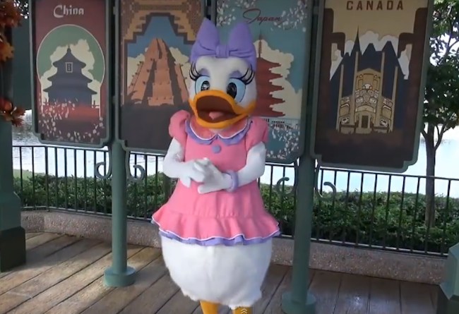 Meet Daisy Duck (Epcot, Showcase Plaza, World Showcase) | WDW Kingdom